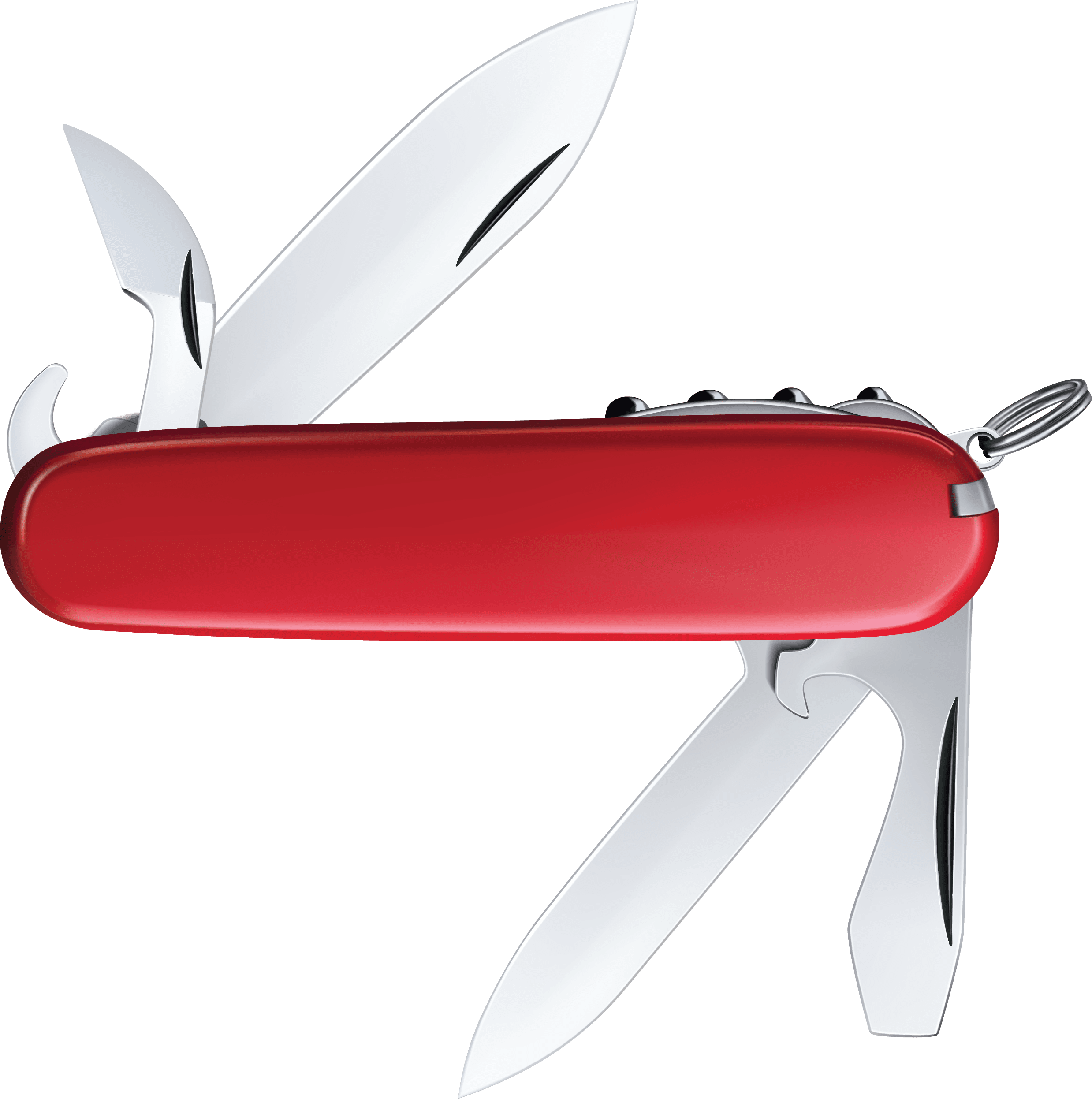 Multi-Disciplinary Team